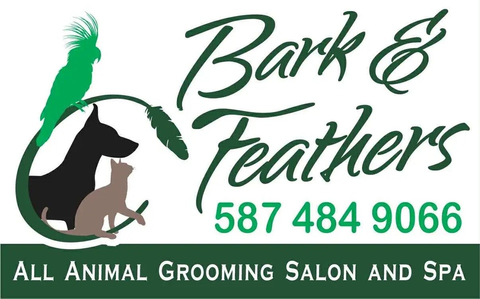 DOG AND CAT GROOMING APPOINTMENTS (INNISFAIL) AVALABLE!! | Animal & Pet ...